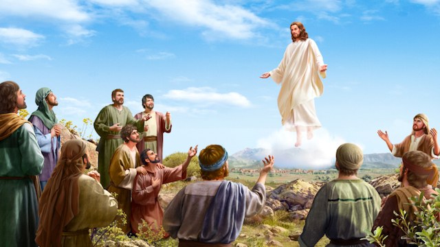 Aprenda todo sobre las REFLEXIONES DE LA VENIDA DE CRISTO, Aquí